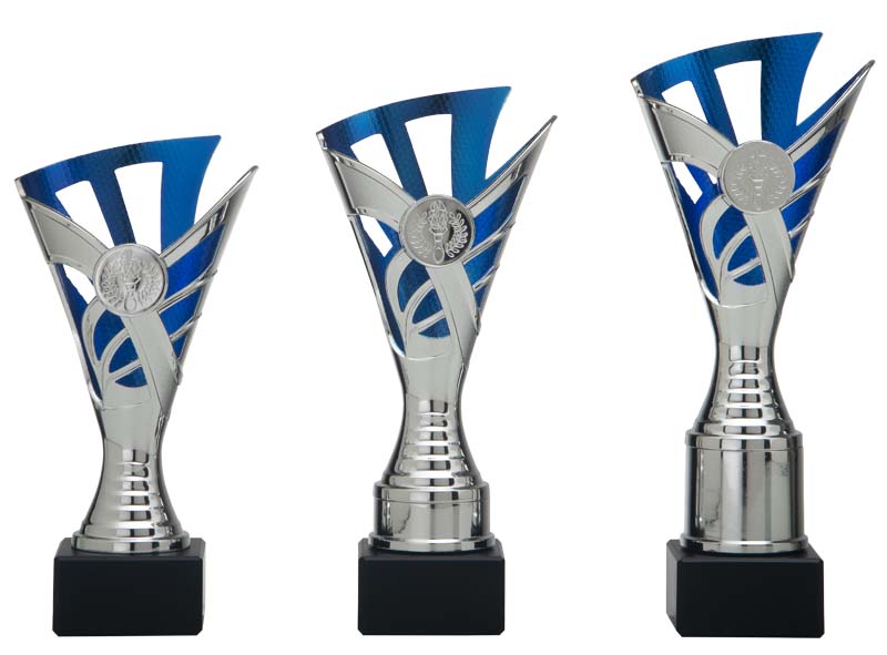 Trofee CAR1170 - Van Zanden Sportprijzen