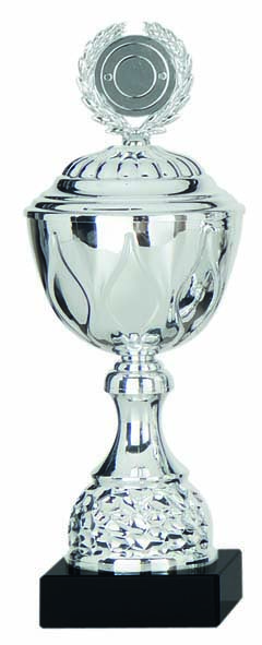 Trofee CAK5090 - Van Zanden Sportprijzen
